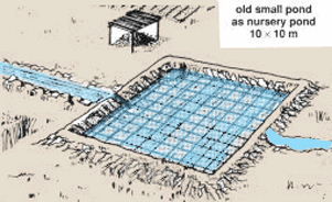 HANDBOOK9. Stocking your pond with baby fish