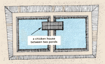HANDBOOK17. Your farm and your fish ponds