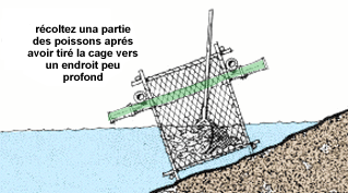 MANUEL DE PISCICULTURE ARTISANALE EN EAU DOUCE