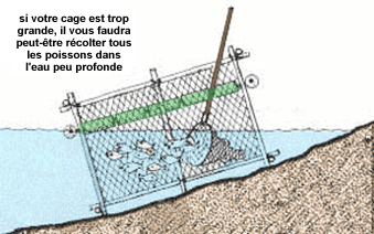 MANUEL DE PISCICULTURE ARTISANALE EN EAU DOUCE