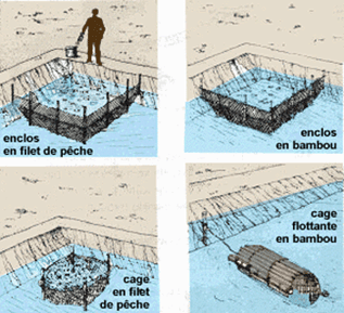 MANUEL DE PISCICULTURE ARTISANALE EN EAU DOUCE