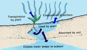 WATER 1. GENERAL BACKGROUND