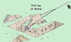 5. Preparation Of The Construction Site