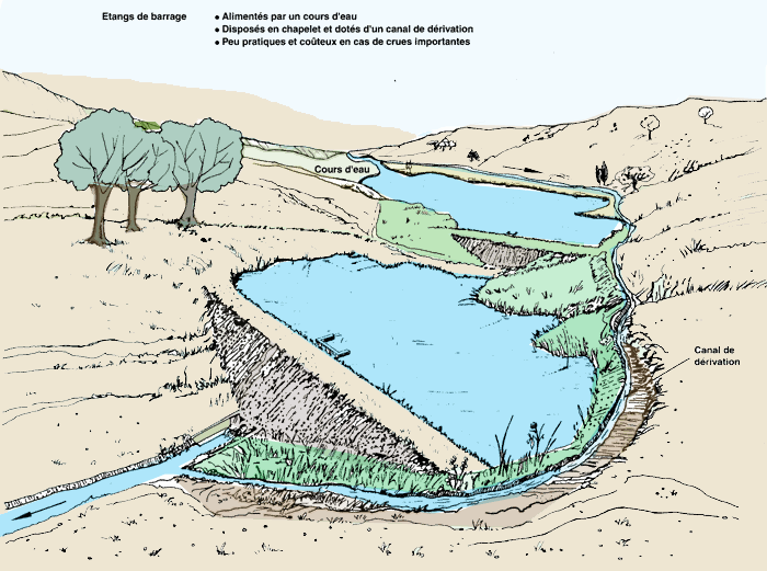 LES TANGS ET LEURS OUVRAGES : ouvrages et agencement des fermes piscicoles