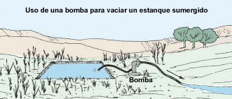 1. INFORMACIÓN BÁSICA