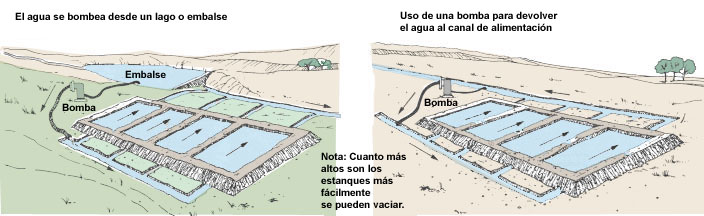 1. INFORMACIÓN BÁSICA