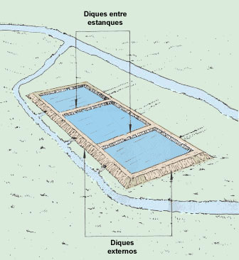 6. Fish Pond Construction