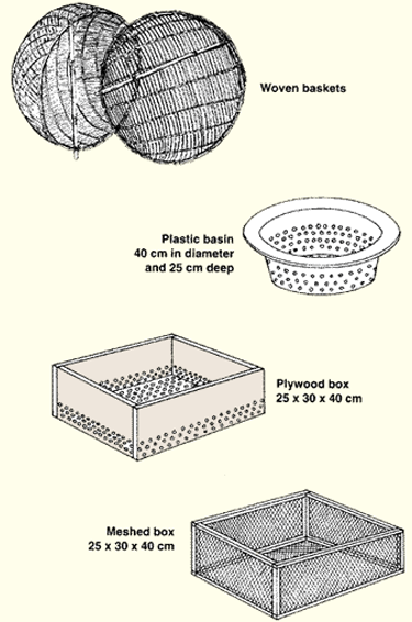MANAGEMENT for freshwater fish culture