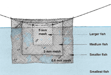 MANAGEMENT for freshwater fish culture