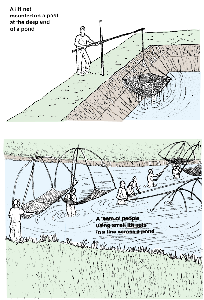 Index of /fishery/static/FAO_Training/FAO_Training/General/x6709e