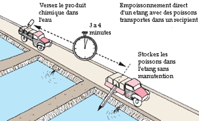 15. PR VENTION ET TRAITEMENT DES MALADIES DE POISSONS