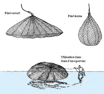 MANUTENTION DE POISSONS VIVANTS À LA FERME