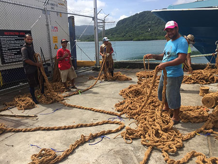 Introducing biodegradable FADs in tuna fisheries in the Western Pacific ...