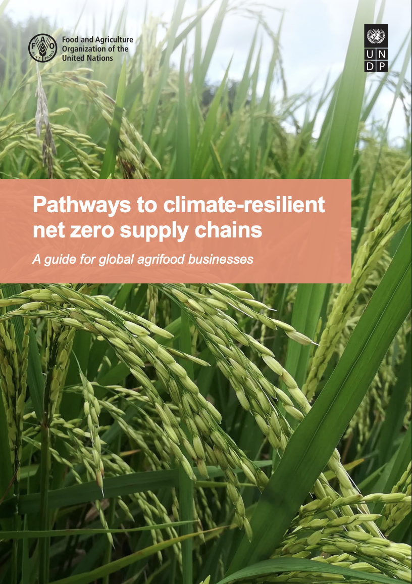 FAO at COP30 | Climate change | Food and Agriculture Organization of the United Nations