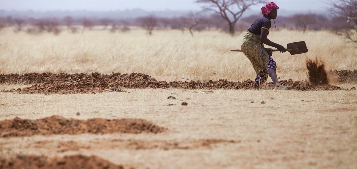 News detail | Climate change | Food and Agriculture Organization of the ...