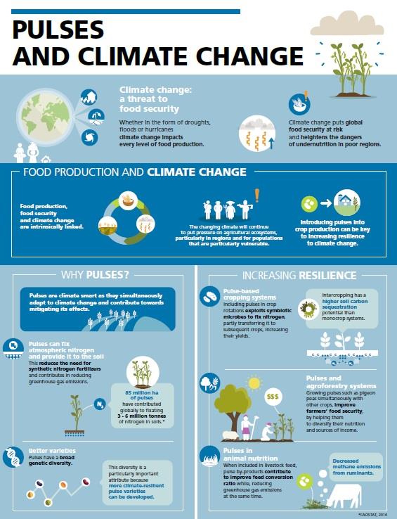 Publications | Climate change | Food and Agriculture Organization of ...