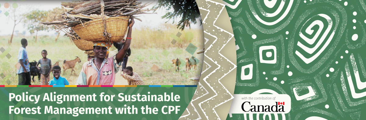 Policy Alignment for Sustainable Forest Management