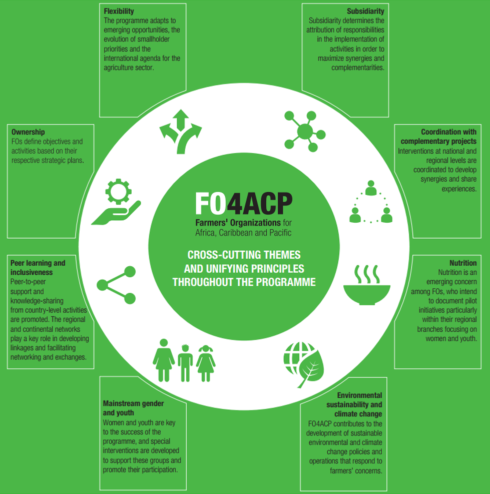 Logical Framework |Farmers Organization for African, Caribbean and ...