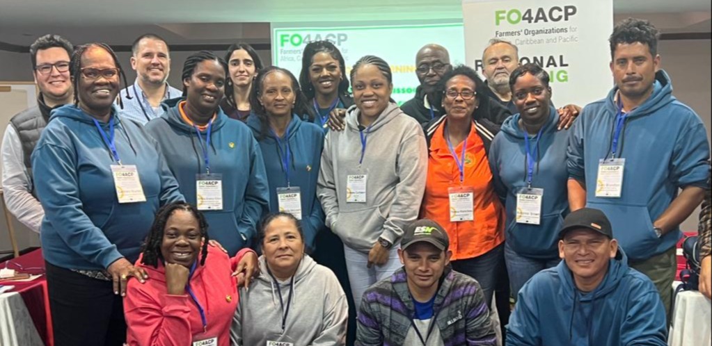 FO4ACP Regional Learning Route starts aiming to strengthen the business ...