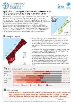 On the ground in Gaza | In Focus | Food and Agriculture Organization of ...