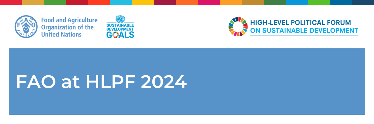 Advancing SDGs 1, 2, 13, 16, and 17: Daily Insights and Contributions from FAO at HLPF 2024