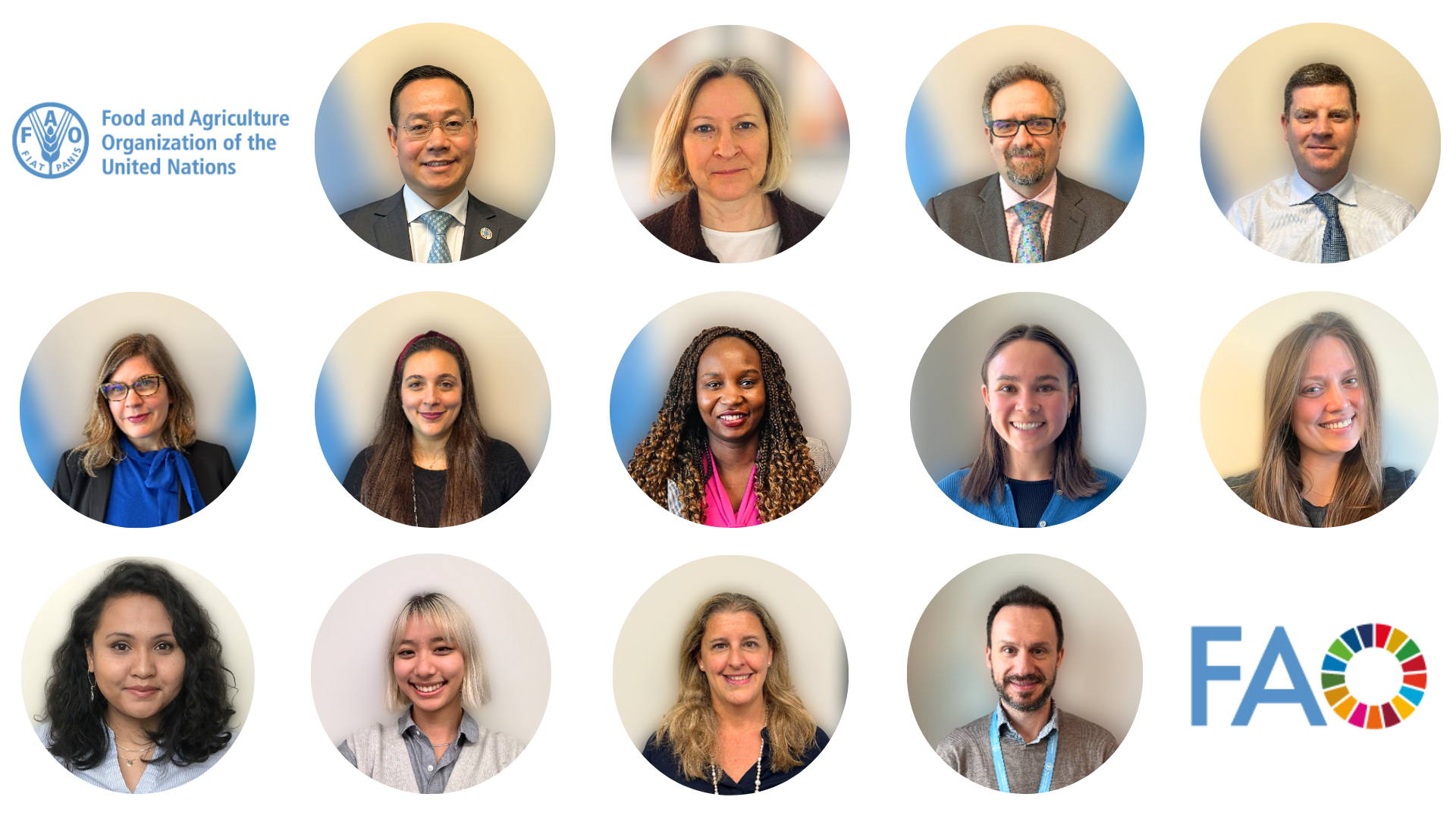 Our Team
