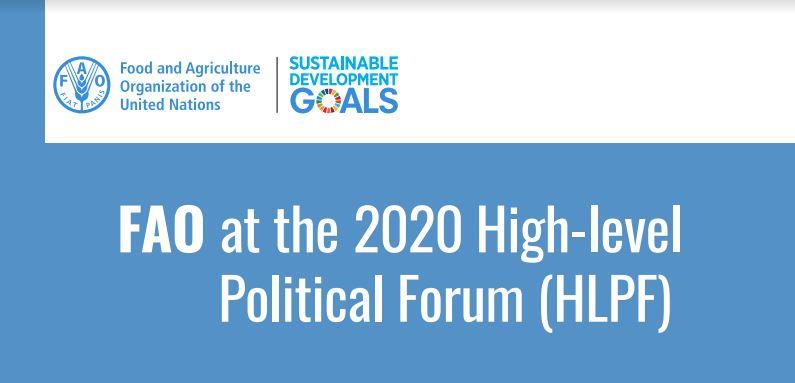 FAO at the 2020 High-Level Political Forum
