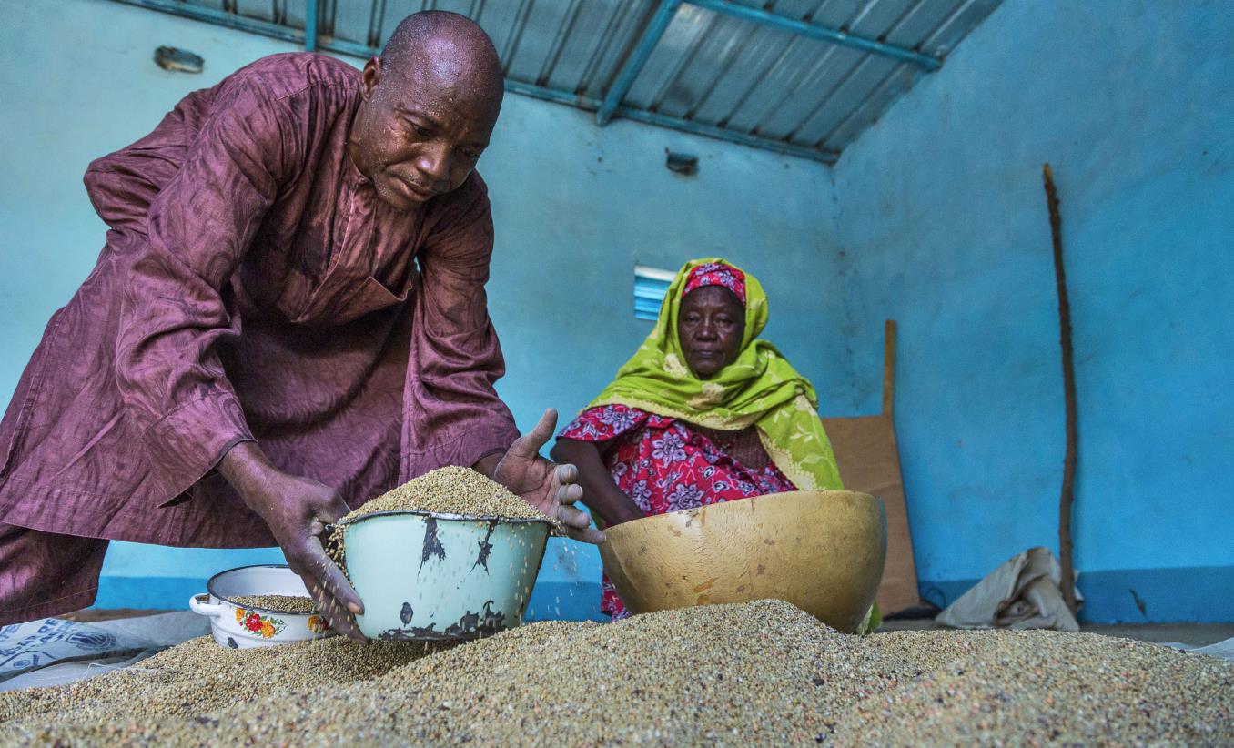 International Year of Millets: Mapping the way forward ahead of 2023