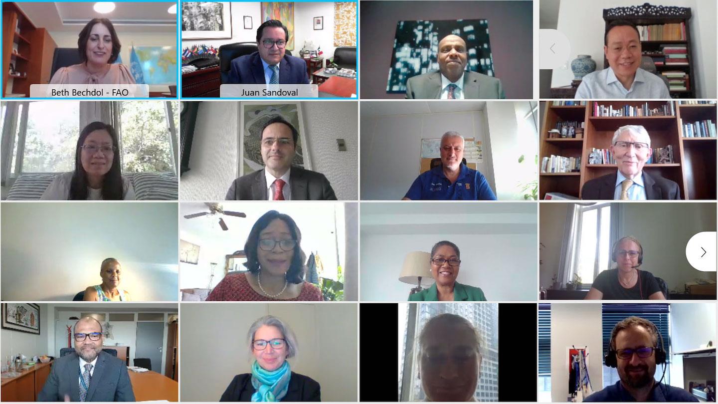 Pivoting innovation and cooperation for inclusive and resilient post ...