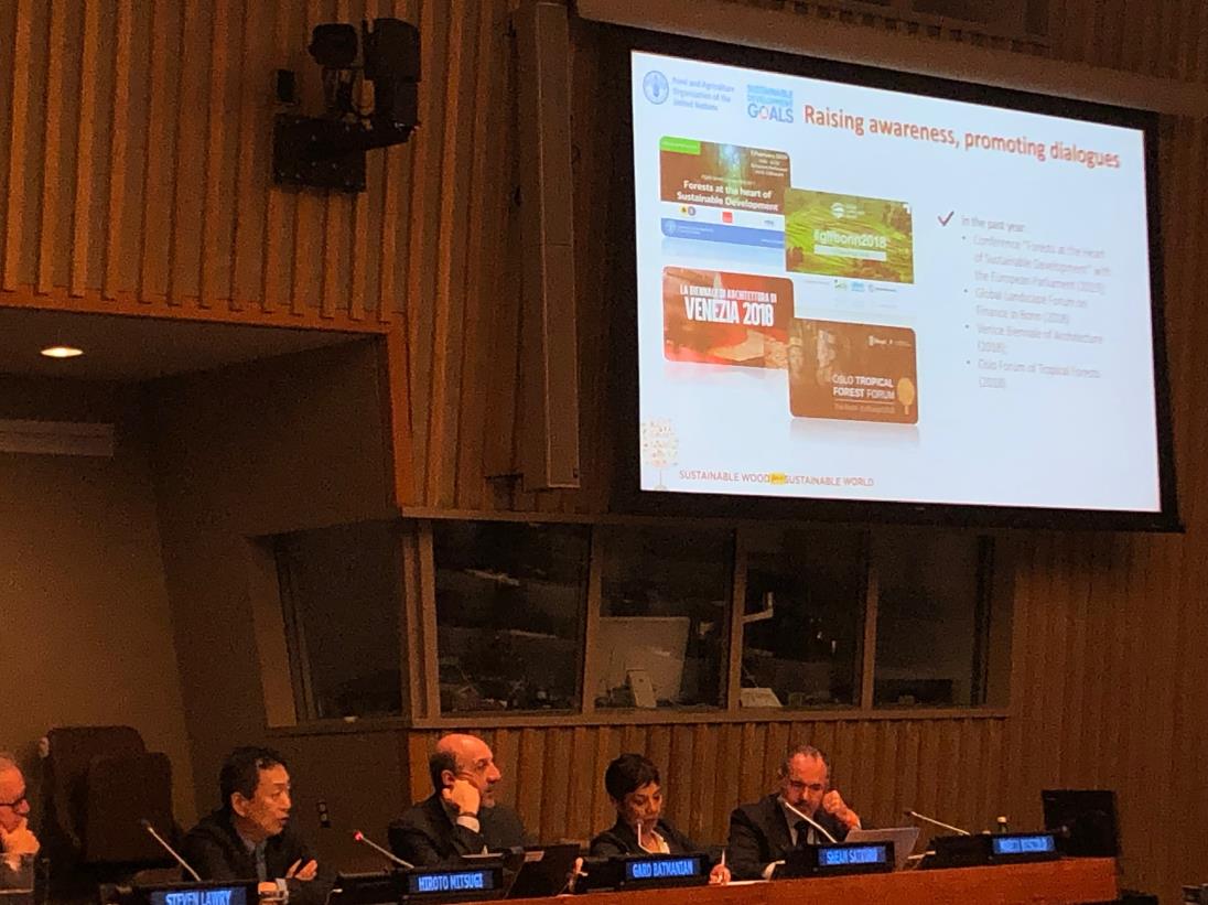 FAO at UN Forestry Forum highlights sustainable wood and ecosystem ...
