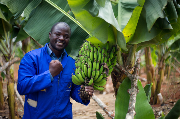 FAO Regional Knowledge Platform on OCOP in Africa