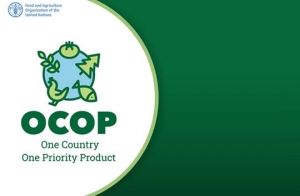 FAO Regional Knowledge Platform on OCOP in Africa