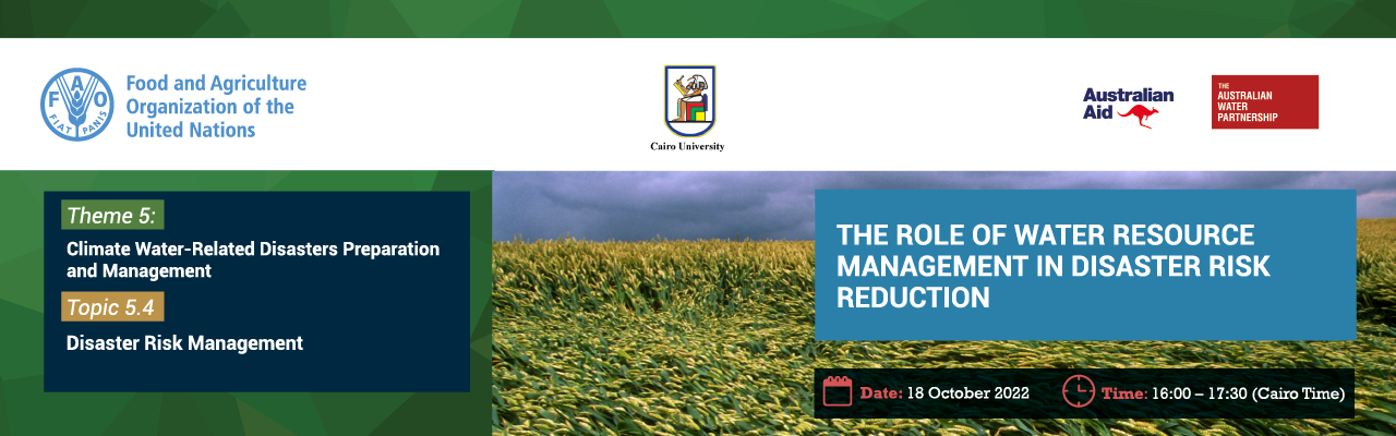 The Role of Water Resource Management in Disaster Risk Reduction -Cairo ...