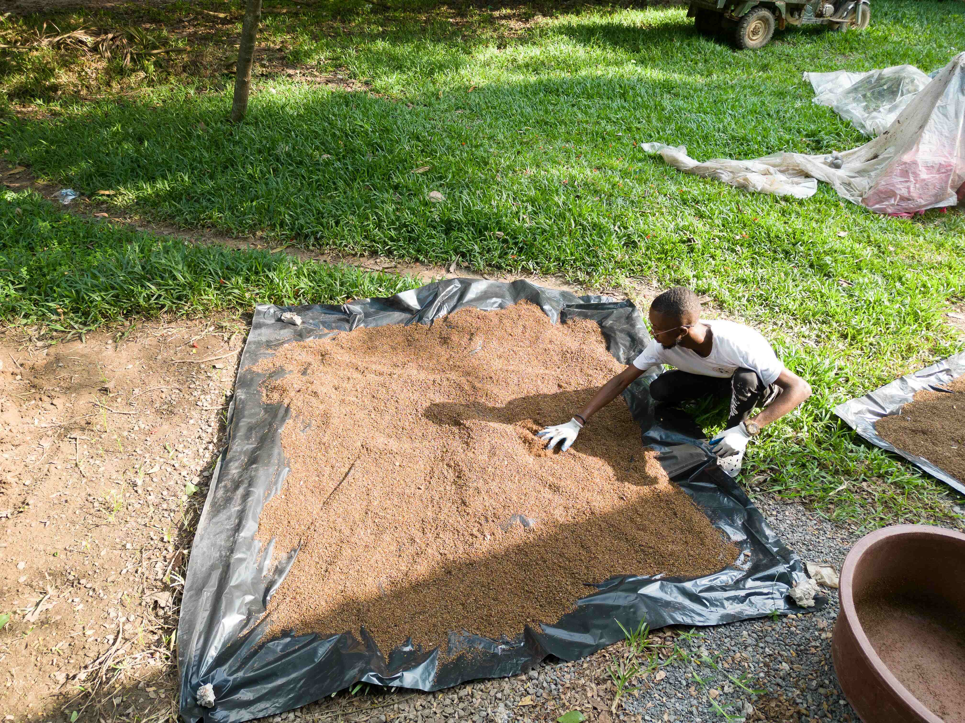 Economic and environmental benefits from using black soldier fly larvae ...