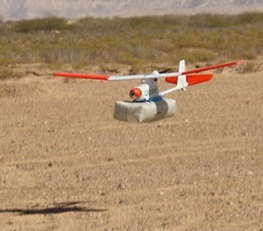 Drones testing and evaluation for Desert Locust Survey operations in Oman