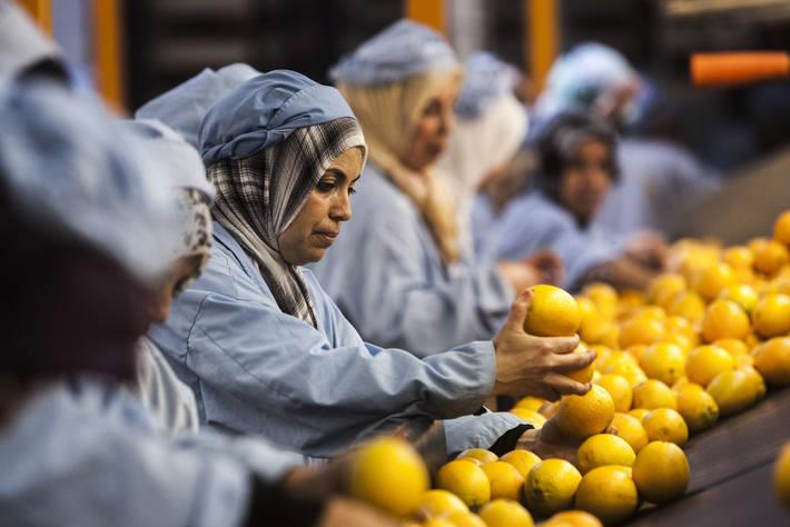 FAORNE Dialogues on Trade (DOT) - Trade as an Enabler for Food Security ...