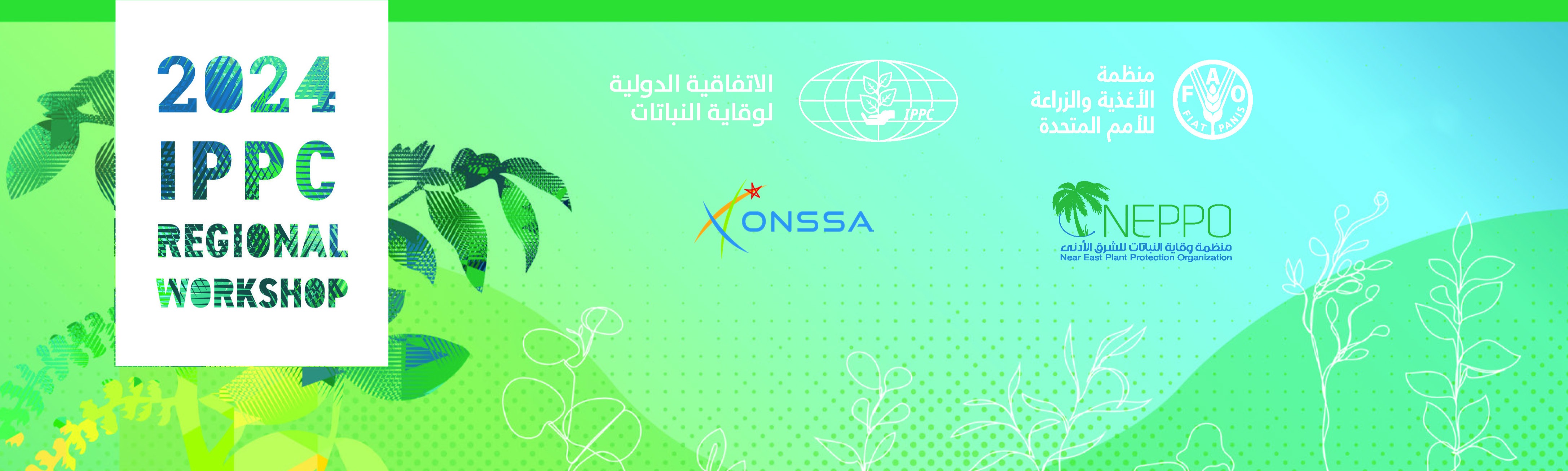 2024 IPPC REGIONAL WORKSHOP FOR THE NEAR EAST AND NORTH AFRICA (NENA ...