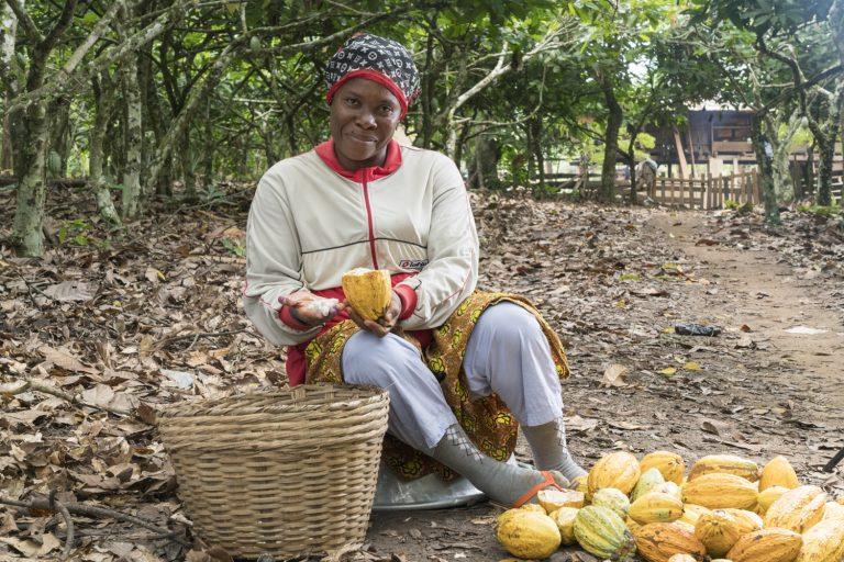 Green Climate Fund approves FAO project to reduce emissions by promoting zero-deforestation ...