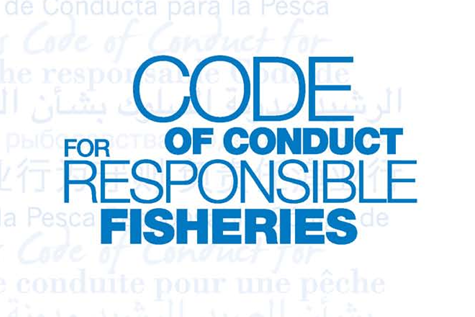 FAO GLOBEFISH | Standards, policies, and procedures
