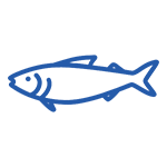Species analysis overview | FAO GLOBFISH | Food and Agriculture Organization of the United Nations