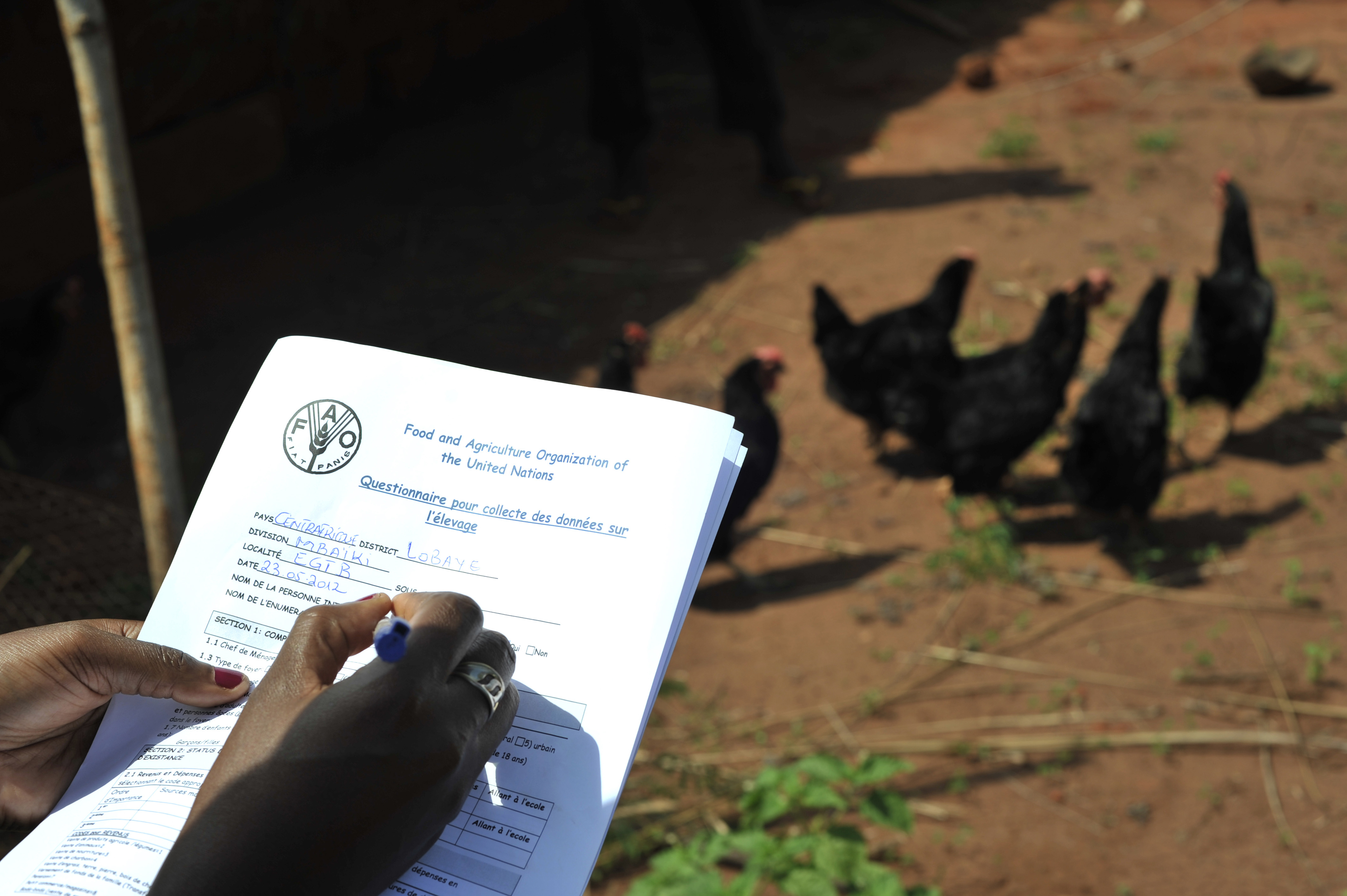 Data collection - Generic | FAO Statistics