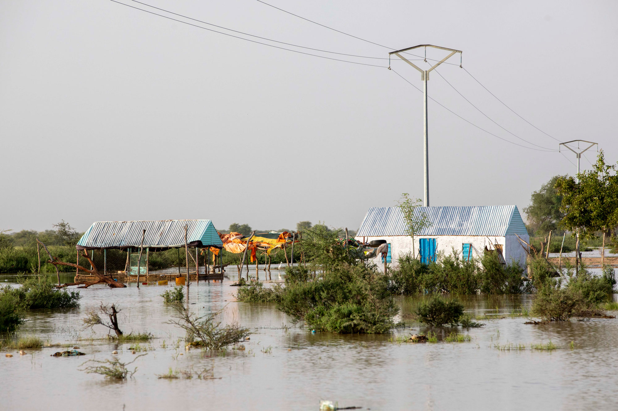 Turning risk into response: A smarter way to act before crisis | FAO