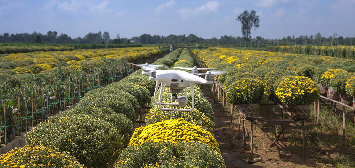 Agricultural mechanization | FAO