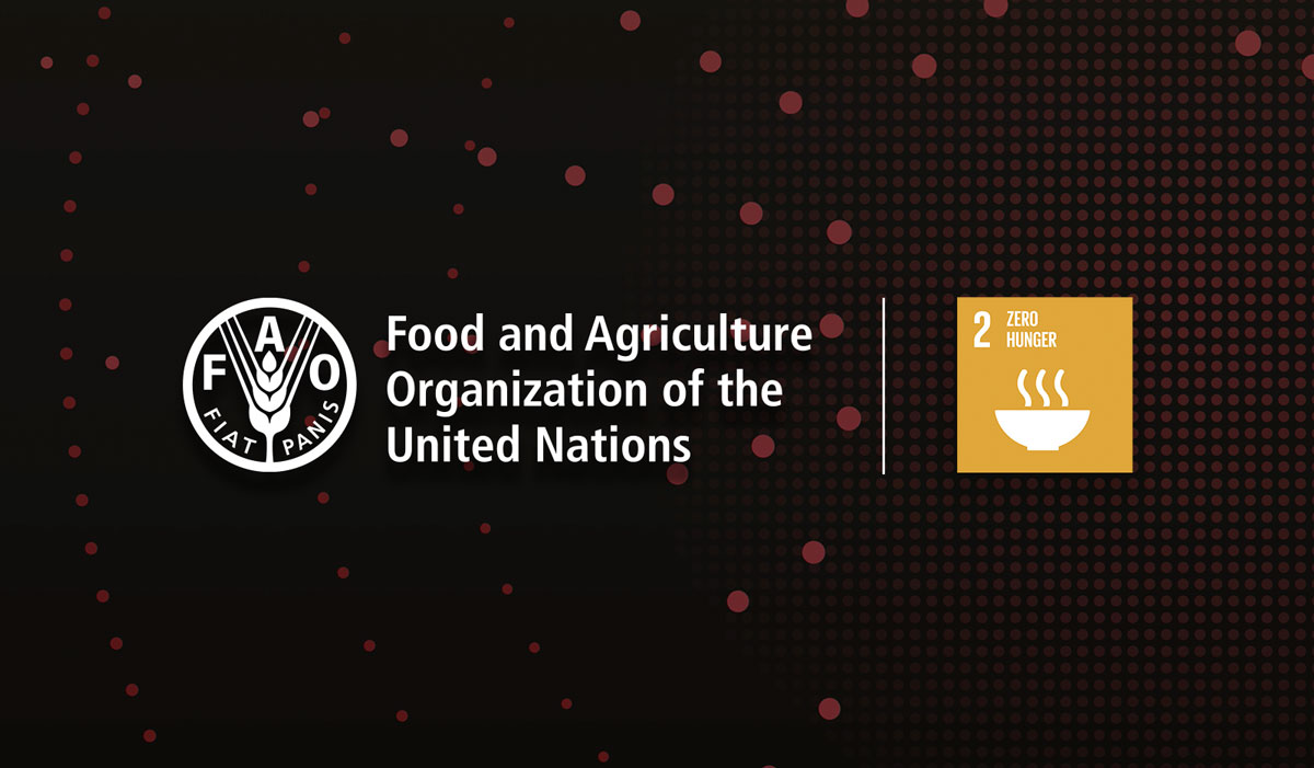 Putting a number on hunger