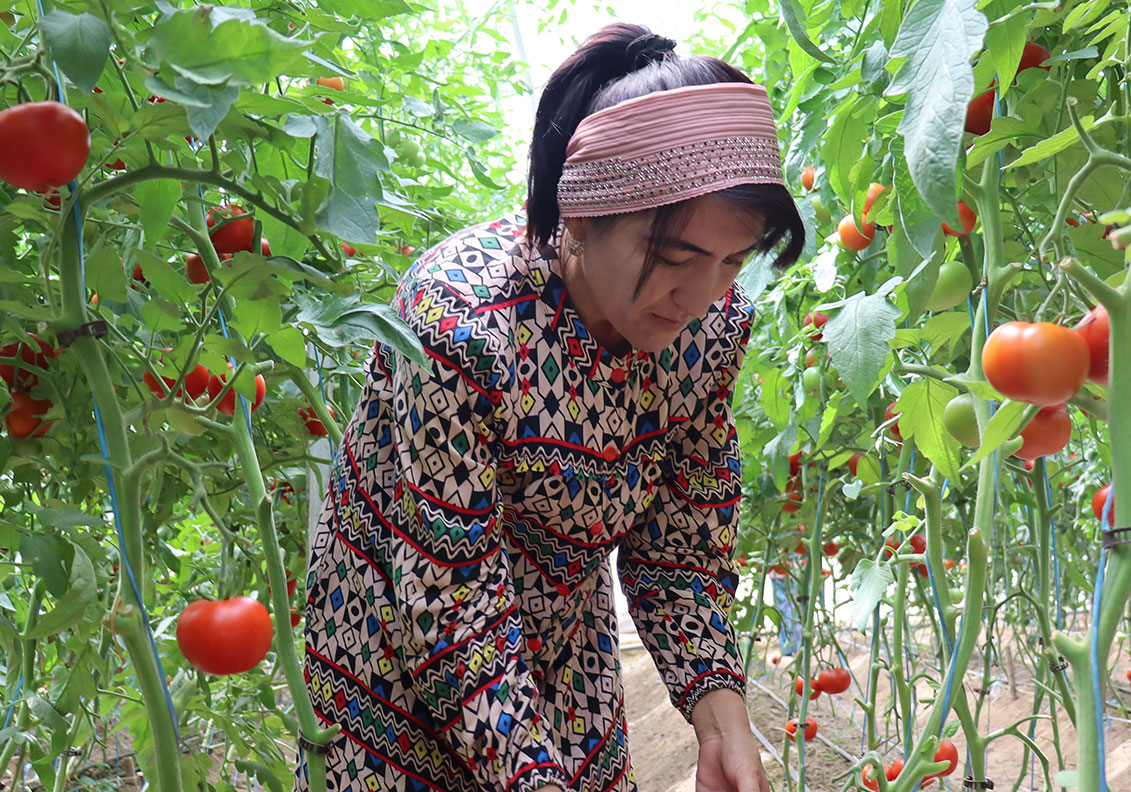 Achieving SDG 2 without breaching the 1.5 °C threshold: FAO’s global ...