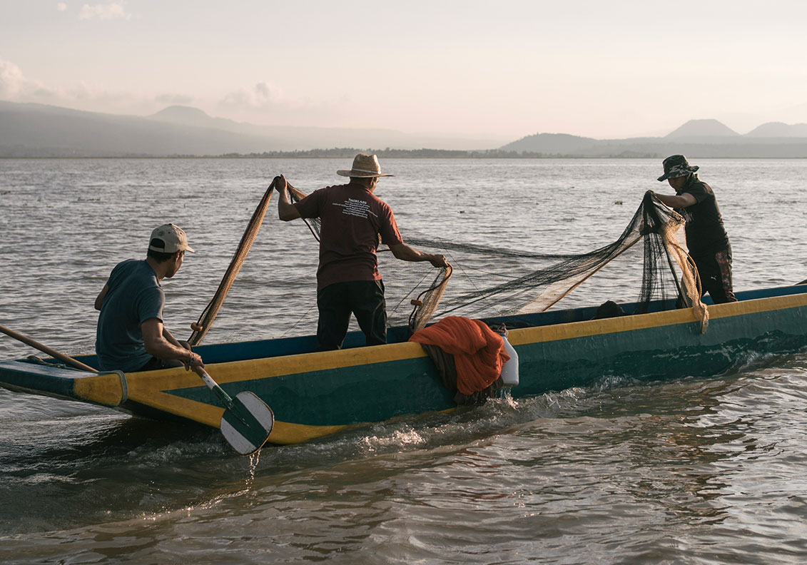Achieving SDG 2 without breaching the 1.5 °C threshold: FAO’s global ...