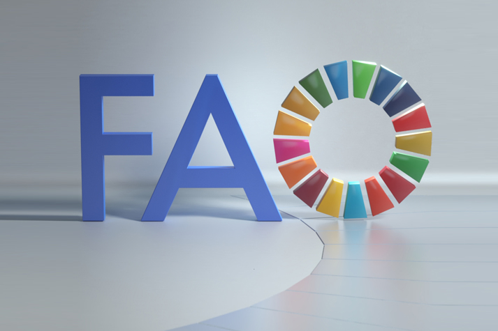FAO Wrapped 2024 | FAO