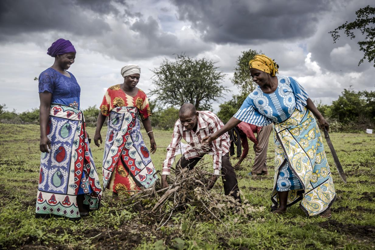 Transformative approaches to advance gender equality for food security ...
