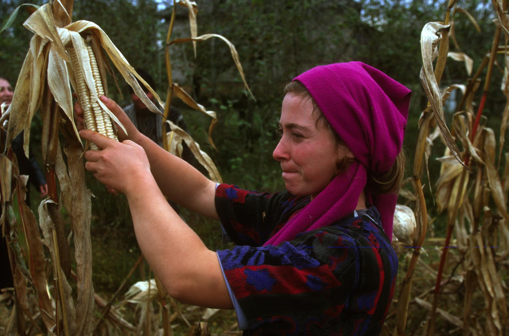 FAO launches a grant competition to support women in Georgia