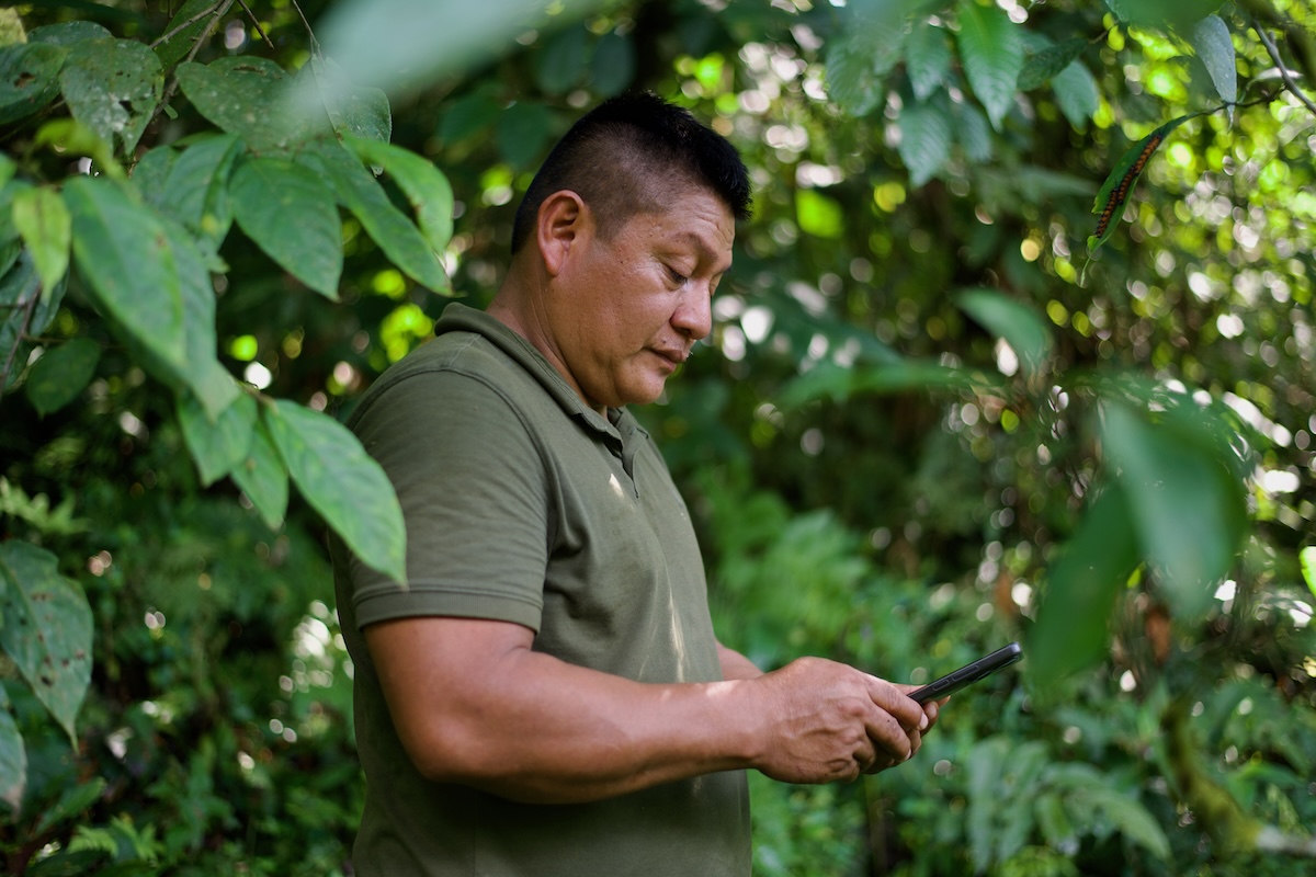 Ecuador strengthens forest-positive agroforestry value chains in cocoa ...